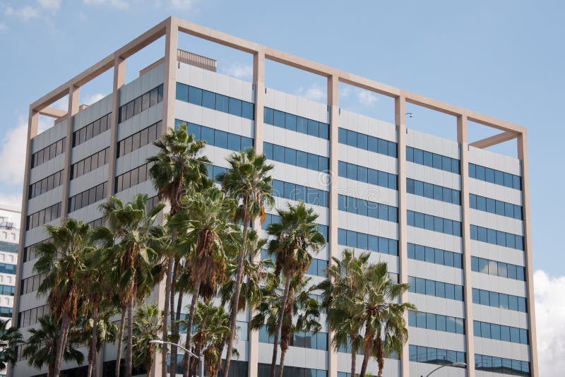 Palm Tree and Office Building Stock Photo - Image of modern, lens: 27390900