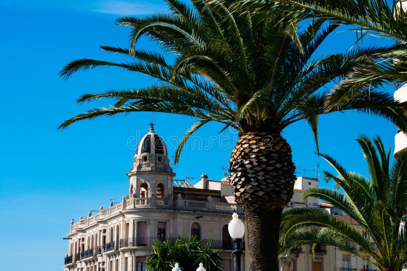 Palm Tree with and Old Building in the Background Stock Photo - Image ...