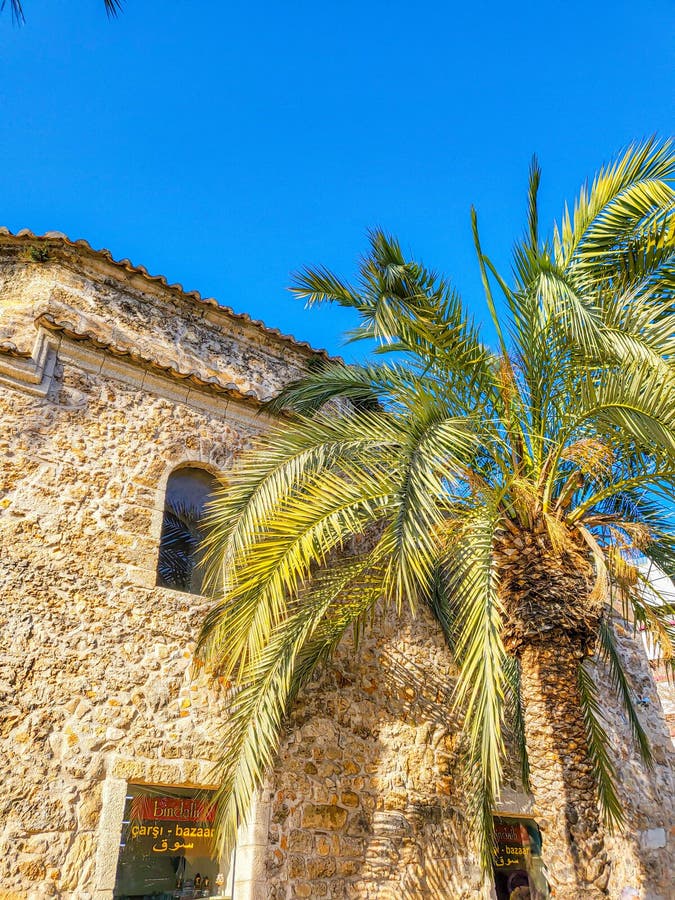 Palm Tree in the Old City in Turkey Stock Photo - Image of architecture ...