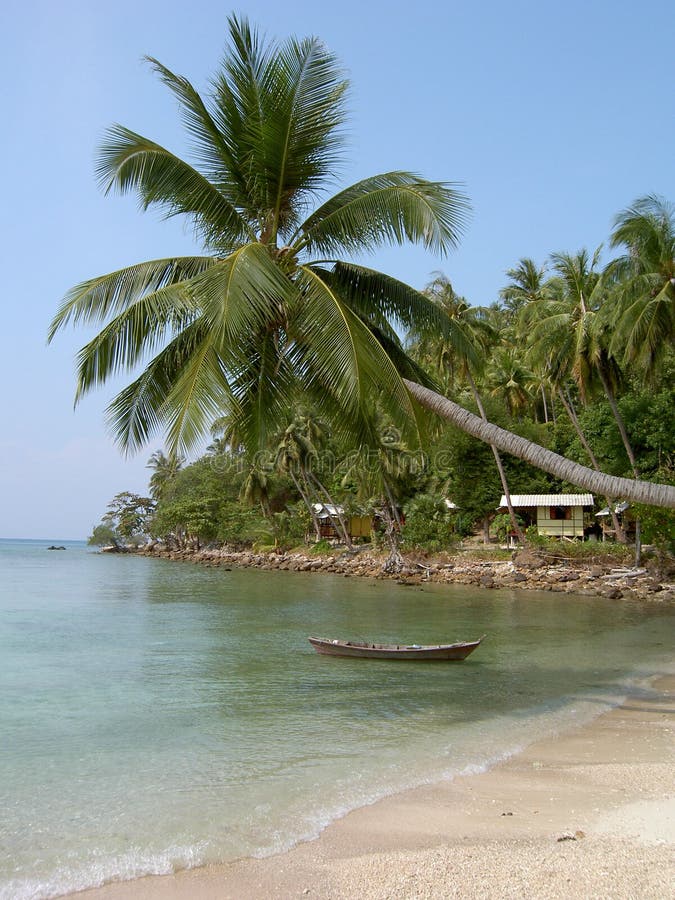 Dream Scene. Beautiful Palm Tree Over White Sand Beach. Summer N Stock ...