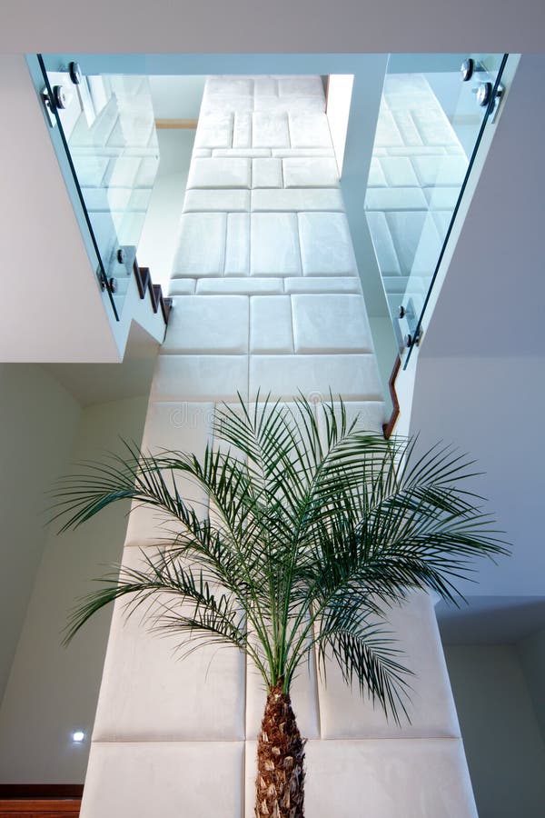 Palm Tree stock photo. Image of space, design, branches - 175553440