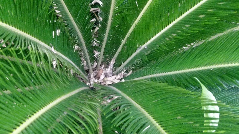 Piczoom Stock Photos - Free & Royalty-Free Stock Photos from Dreamstime