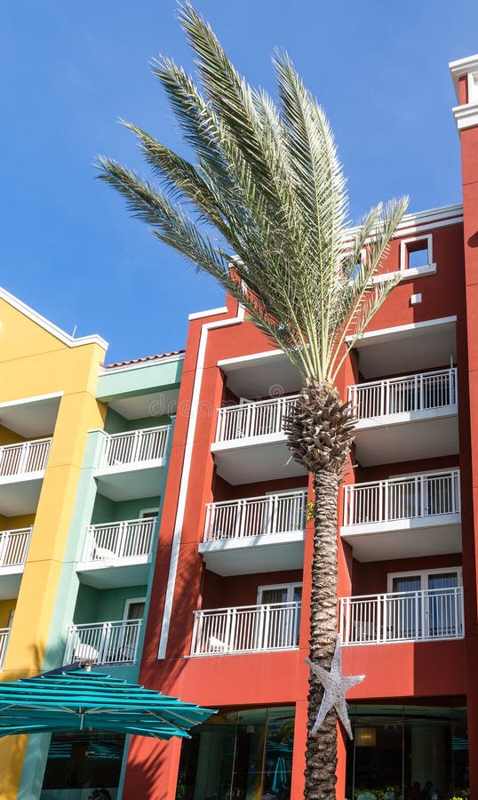 Palm Tree at Red Resort stock photo. Image of hotel, coast - 75043430