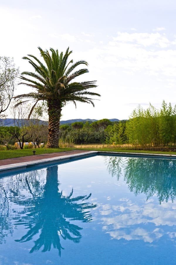 56,958 Sky Pool Tree Stock Photos - Free & Royalty-Free Stock Photos ...