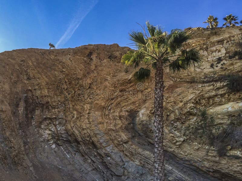 Palm Tree Rock Background at White Point Beach Stock Photo - Image of ...