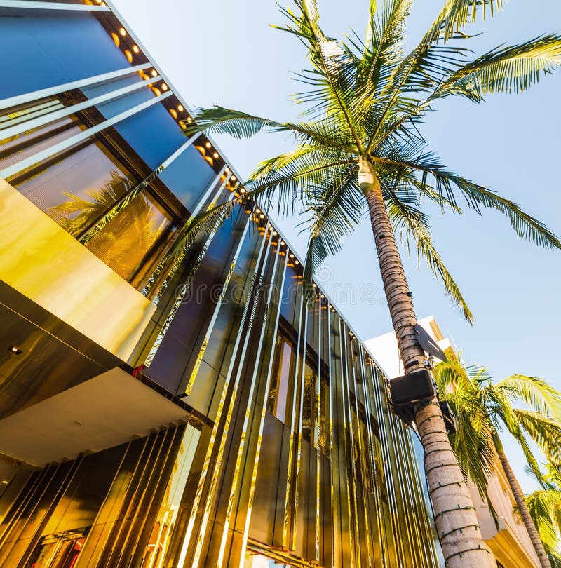 Palm tree in Rodeo Drive stock image. Image of street - 89797317