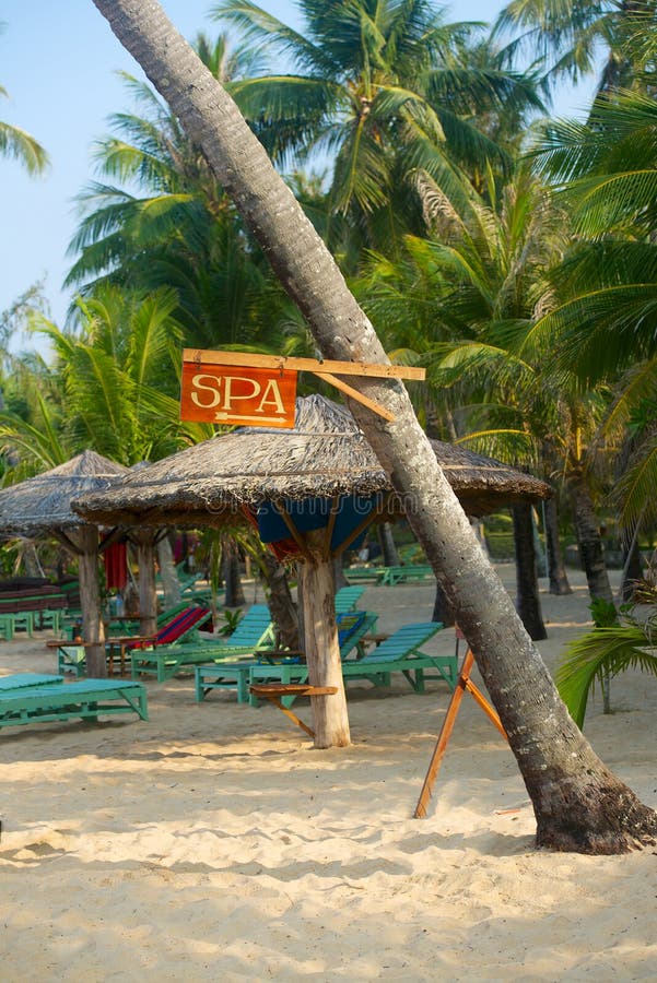 Palm Tree on the Sandy Beach with a Sign Stock Photo - Image of beach ...