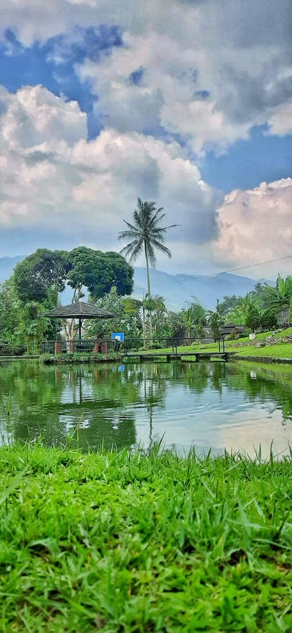Palm tree scenery lake stock image. Image of tree, palm - 281440387