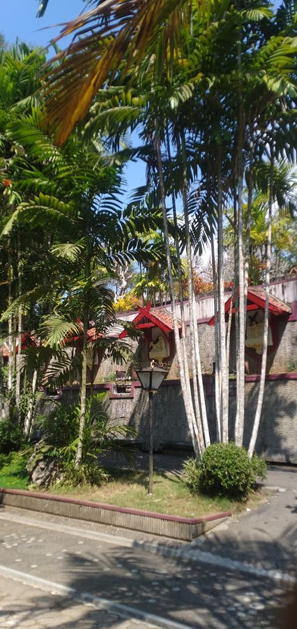 Sendang Sono Stock Photos - Free & Royalty-Free Stock Photos from ...