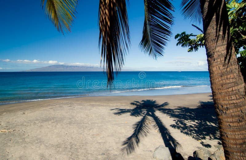 Palm Tree Shadow on Beach stock photo. Image of idyllic - 5058946