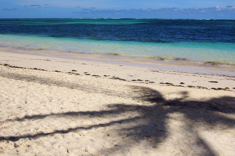 Palm Tree Shadow on the Beach Stock Photo - Image of vacations, palm ...