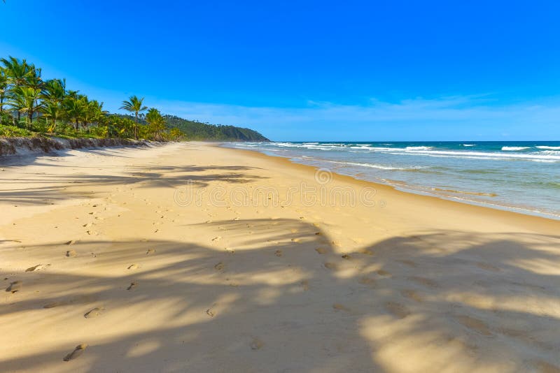 Palm Tree Shadow on Beautiful Sandy Beach Stock Photo - Image of beach ...