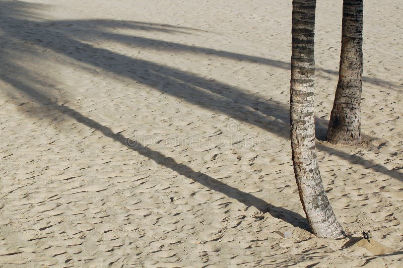 Palm Tree Shadow on Sandy Beach Stock Image - Image of outdoor, sand ...