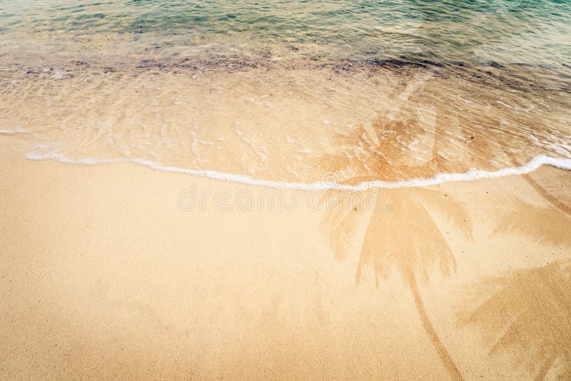 Palm Tree Shadow on the Sandy Beach with Ocean Wave Stock Photo - Image ...