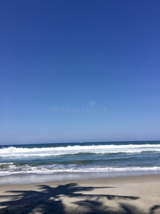 Palm Tree Shadow in the Seashore Stock Photo - Image of ocean, blue ...