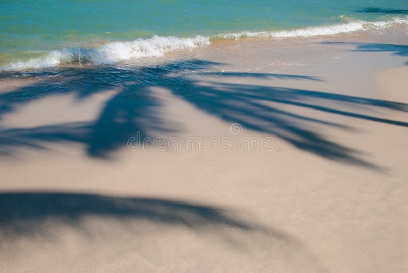 307,377 Tree Shadow Stock Photos - Free & Royalty-Free Stock Photos ...