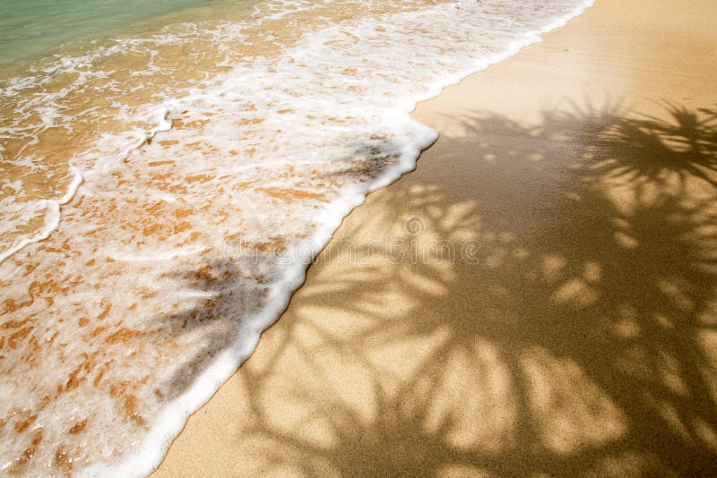 Palm Tree Shadow in Tropics Stock Image - Image of indonesia, tropical ...