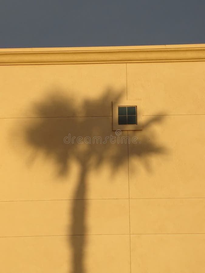 Palm Tree Shadow on Wall stock image. Image of wall, tree - 7101367
