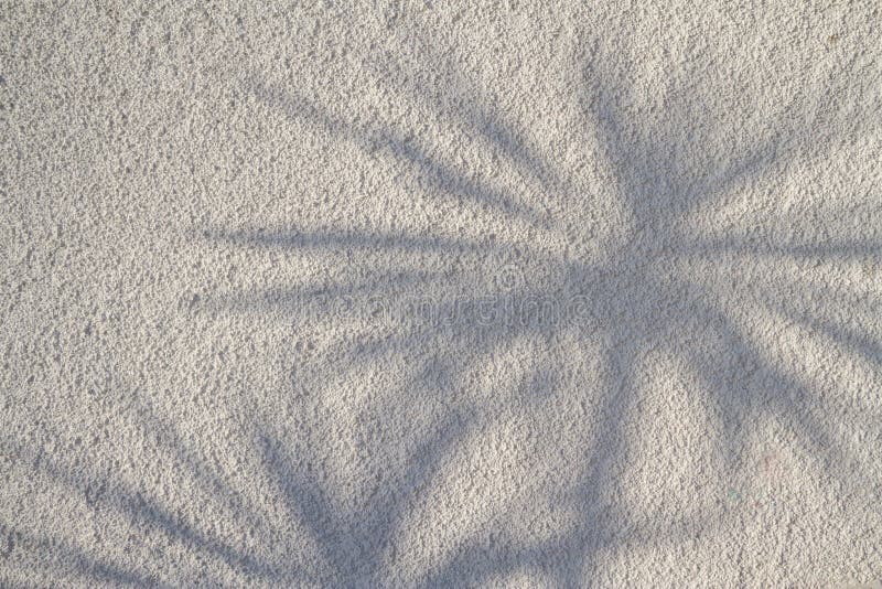 Palm Tree Shadow on Wall stock image. Image of detail - 129936771