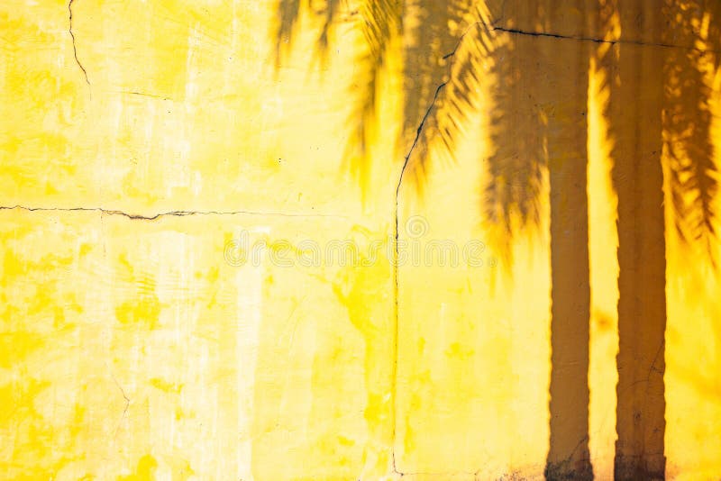 Palm Tree Shadow on a Yellow Wall - Summer Background Stock Image ...