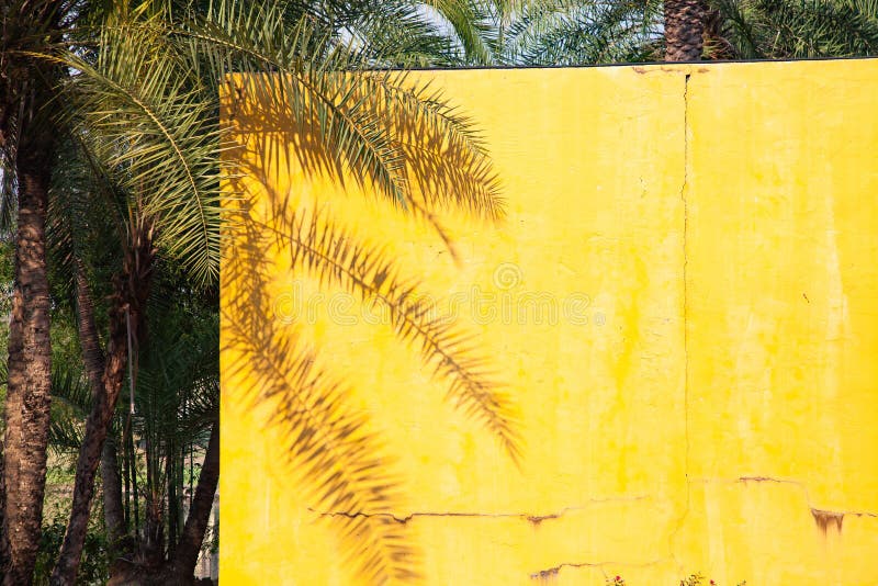 Palm Tree Shadow on a Yellow Wall - Summer Background Stock Photo ...