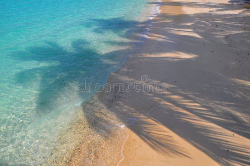 Palm Tree Shadows stock image. Image of sand, paradise - 11476429