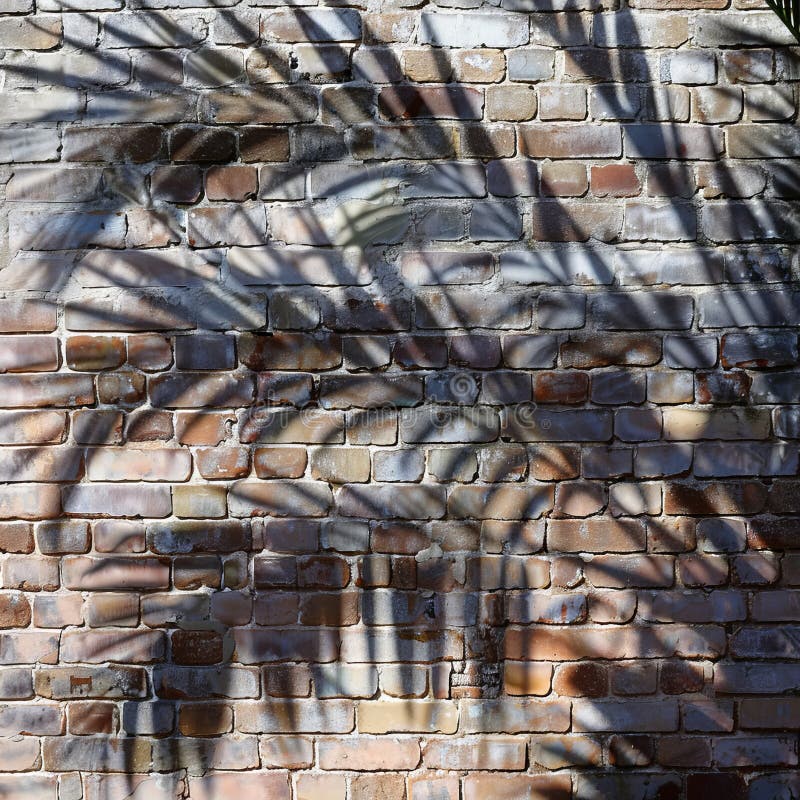 Palm Tree Shadows on Brick Wall Texture, Palm Branch at Sunlight ...
