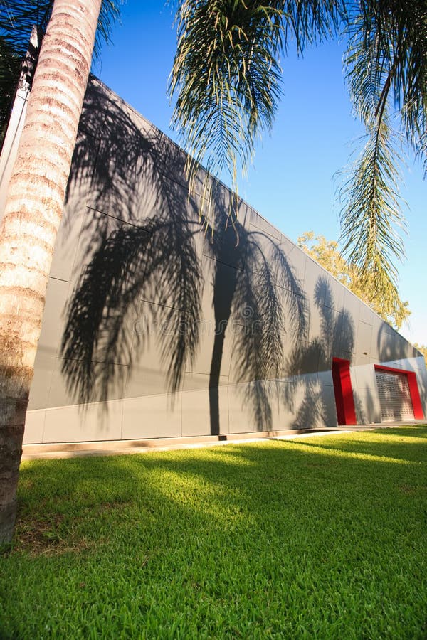 Palm Tree Shadows on a Building Wall Stock Photo - Image of brick, trip ...