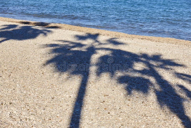 Palm Tree Shadows on a Pebble Beach. Mediterranean Coastline Stock ...