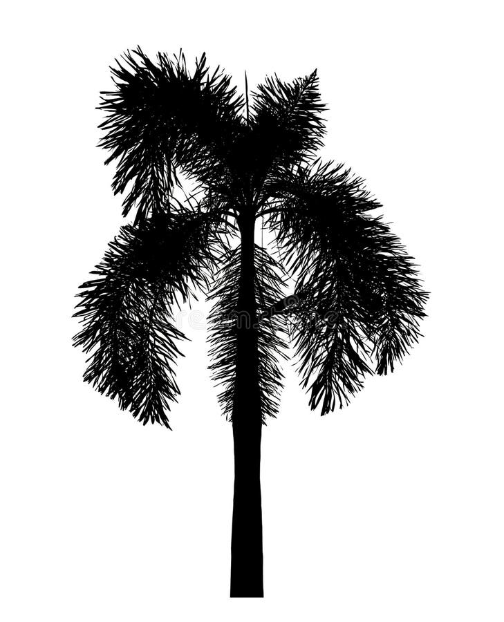 Alpha Transparent Trees Stock Illustrations – 288 Alpha Transparent ...