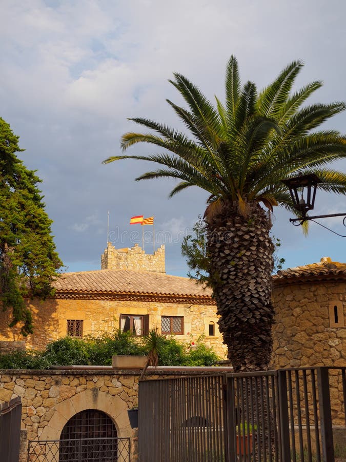 Palm Tree, Spanish and Catalan Flags Stock Image - Image of historical ...
