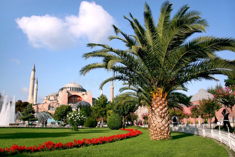Palm tree on Sultanahmet stock image. Image of ottoman - 10260119