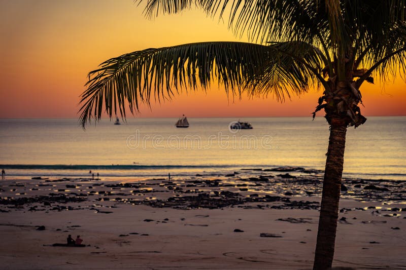 Palm Tree at Sunset at Cable Beach in Broome, Western Australia Stock ...