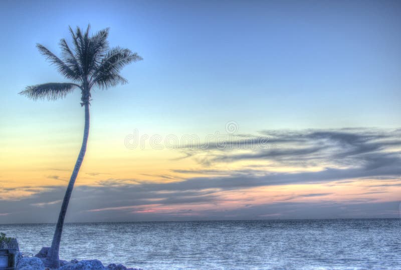 Palm Tree Sunset in the Florida Keys Stock Photo - Image of nature ...