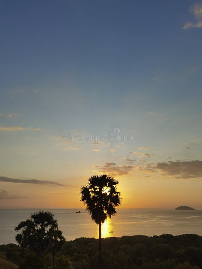 Palm Tree with Sunset View at Labuan Bajo Stock Photo - Image of palm ...