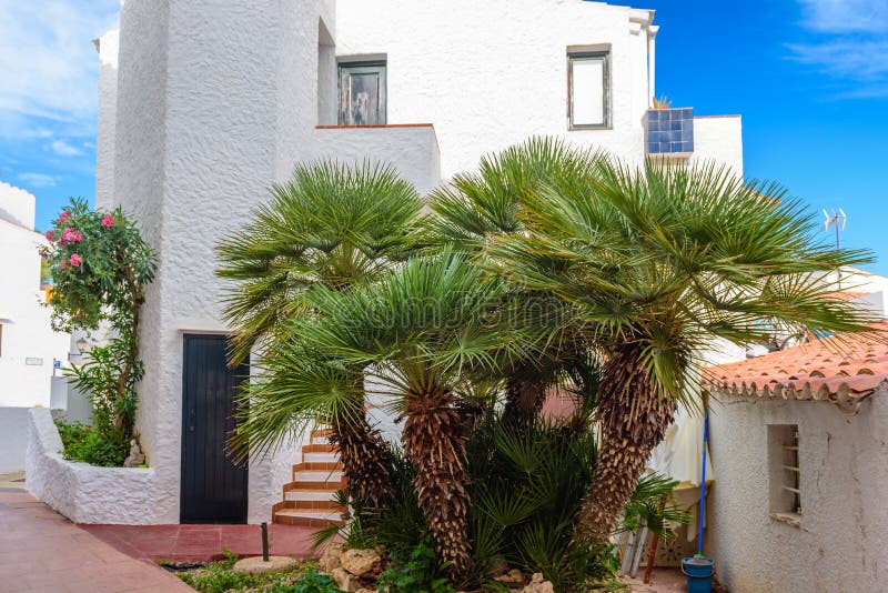 Palm Tree and Typical White Spanish Architecture Stock Image - Image of ...