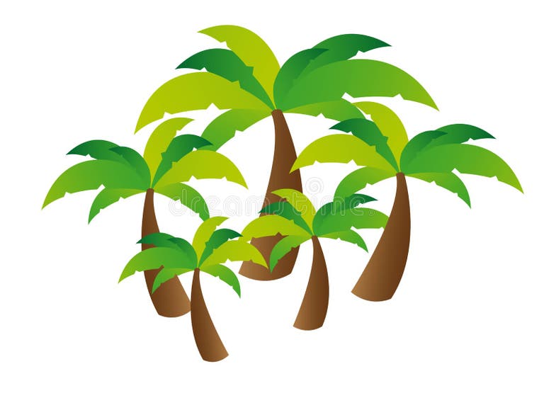 Evergreen Palm Tree Vector Stock Illustrations – 4,946 Evergreen Palm ...