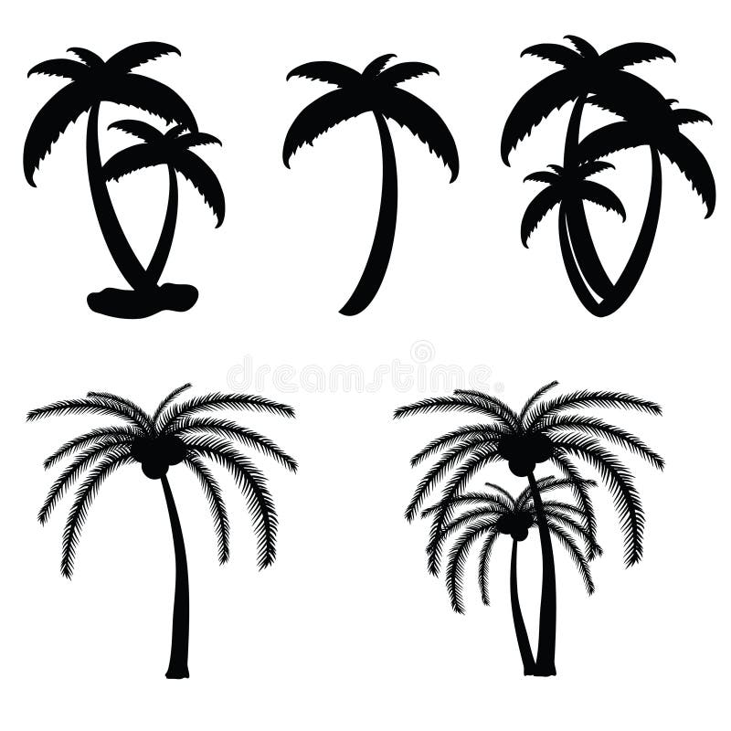 Palm Tree Vector in Black Color Stock Vector - Illustration of vector ...