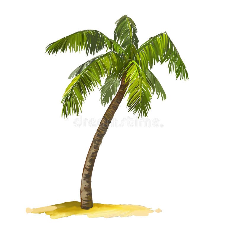 Palm Tree Vector Illustration Hand Drawn Painted Stock Vector ...