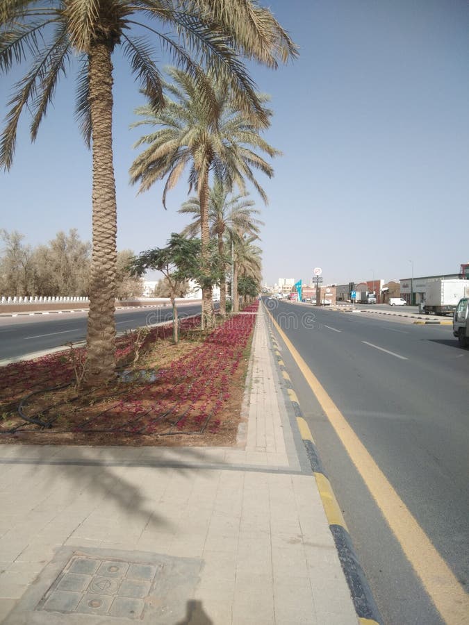 The Palm Tree View in the Highway Divider Editorial Photo - Image of ...