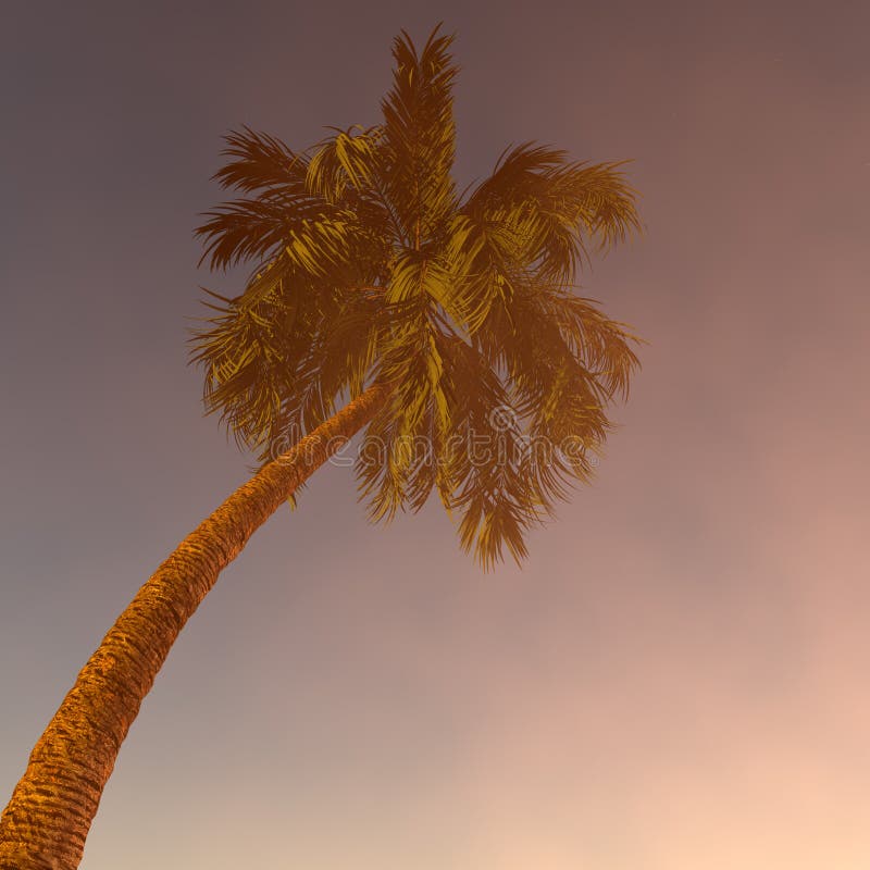 Palm Tree in Warm Summer Atmosphere Stock Illustration - Illustration ...