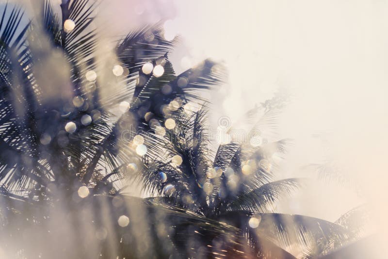 Palm Tree through Window Rain Stock Photo - Image of abstract, leaves ...