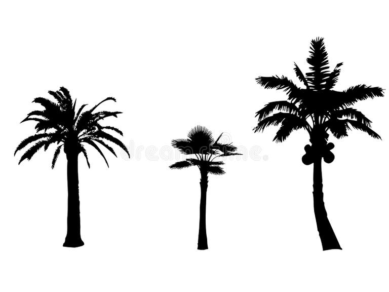 Row Palm Trees Stock Illustrations – 1,016 Row Palm Trees Stock ...