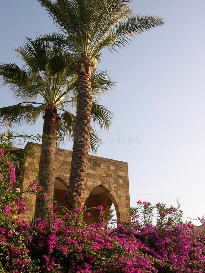 Beirut shoreline - Lebanon stock photo. Image of rise - 4752160