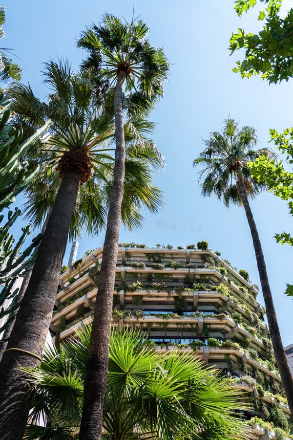 Palm Trees in Barcelona City Stock Image - Image of colorful, catalunya ...