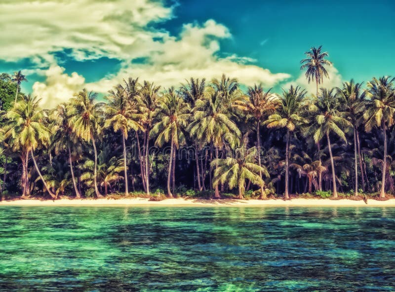 Palm Trees on the Beach of a Tropical Island Stock Image - Image of ...