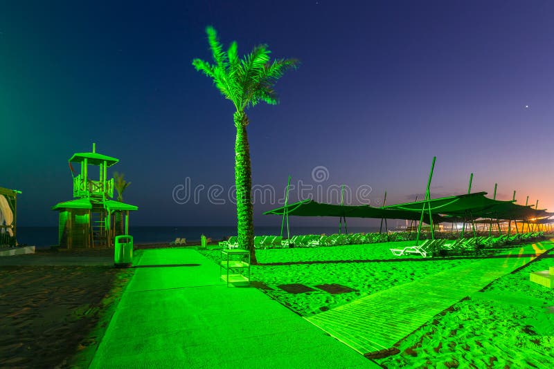 Palm Trees at the Beach of Turkey Stock Image - Image of turkey, palm ...