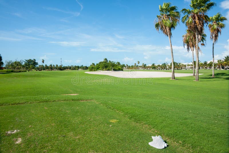 Golf course image. stock photo. Image of landscape, green - 26596524