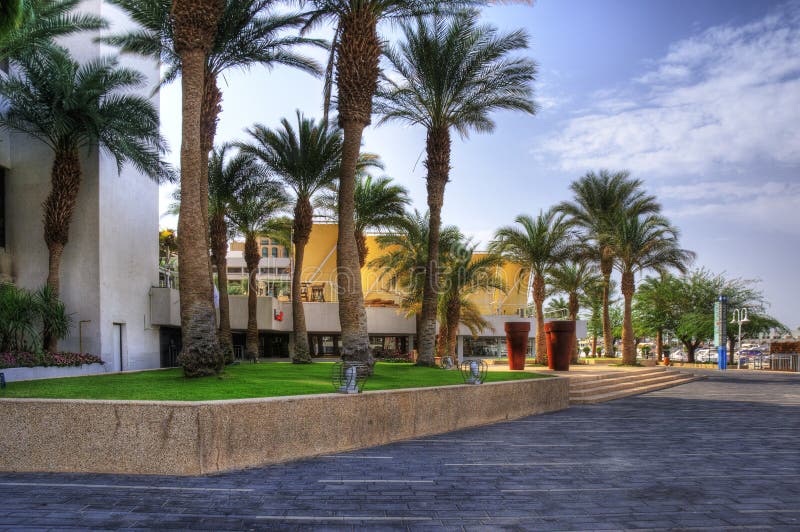 Palm trees in the city stock photo. Image of house, outdoors - 16609374