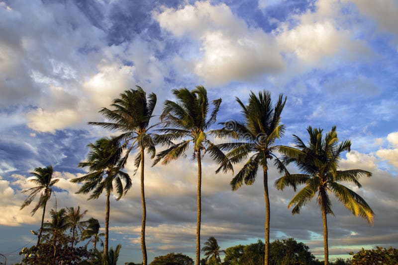 Set of 35 Square Stipple Pattern for Design. Tile Spots Stock Vector ...